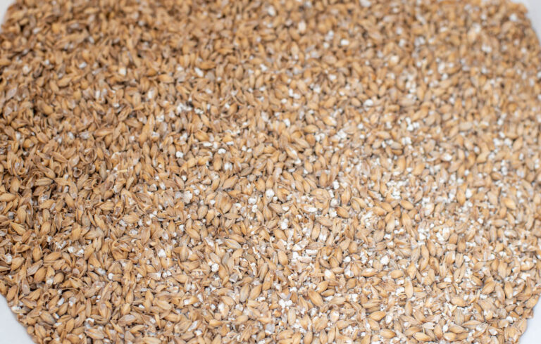 All Grain Brewing Process: A Beginner's Guide - Hazy and Hoppy