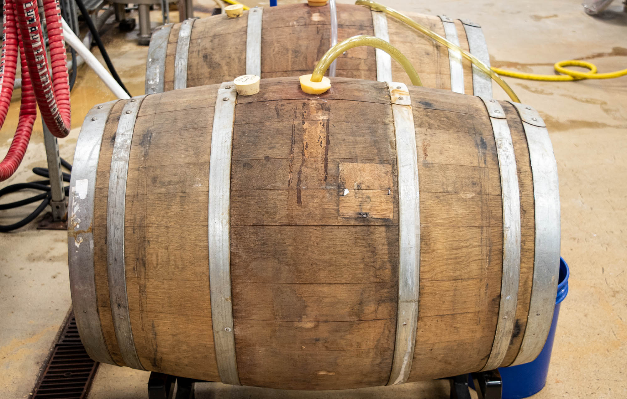 From Grain to Glass with Barrel House Z Brewery - Hazy and Hoppy