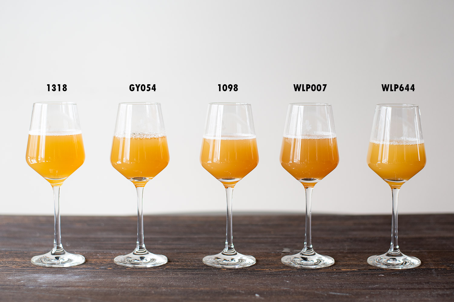 1 NEIPA Split With 5 Different Yeast Experiment - Hazy and Hoppy