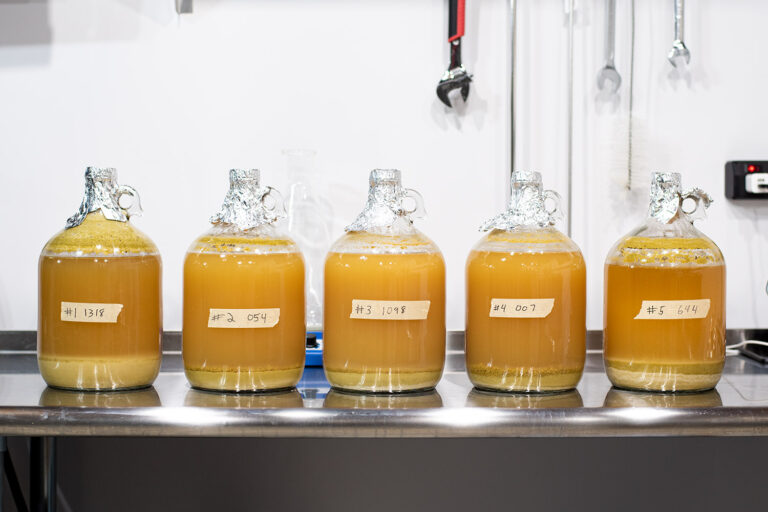 1 NEIPA Split With 5 Different Yeast Experiment - Hazy and Hoppy