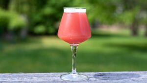Fruited Raspberry Sour Recipe With Philly Sour - Hazy and Hoppy